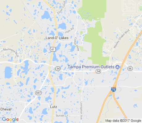 Lake Padgett South Land O' Lakes Apartments for Rent and Rentals - Walk ...