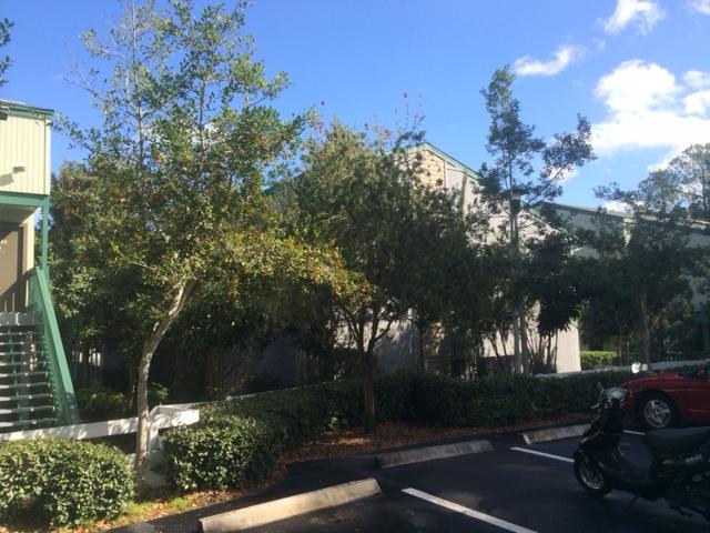 Regency Oaks Apartments, Gainesville FL - Walk Score