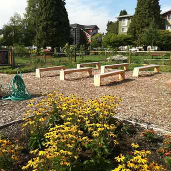 High Point Seattle Apartments for Rent and Rentals - Walk Score