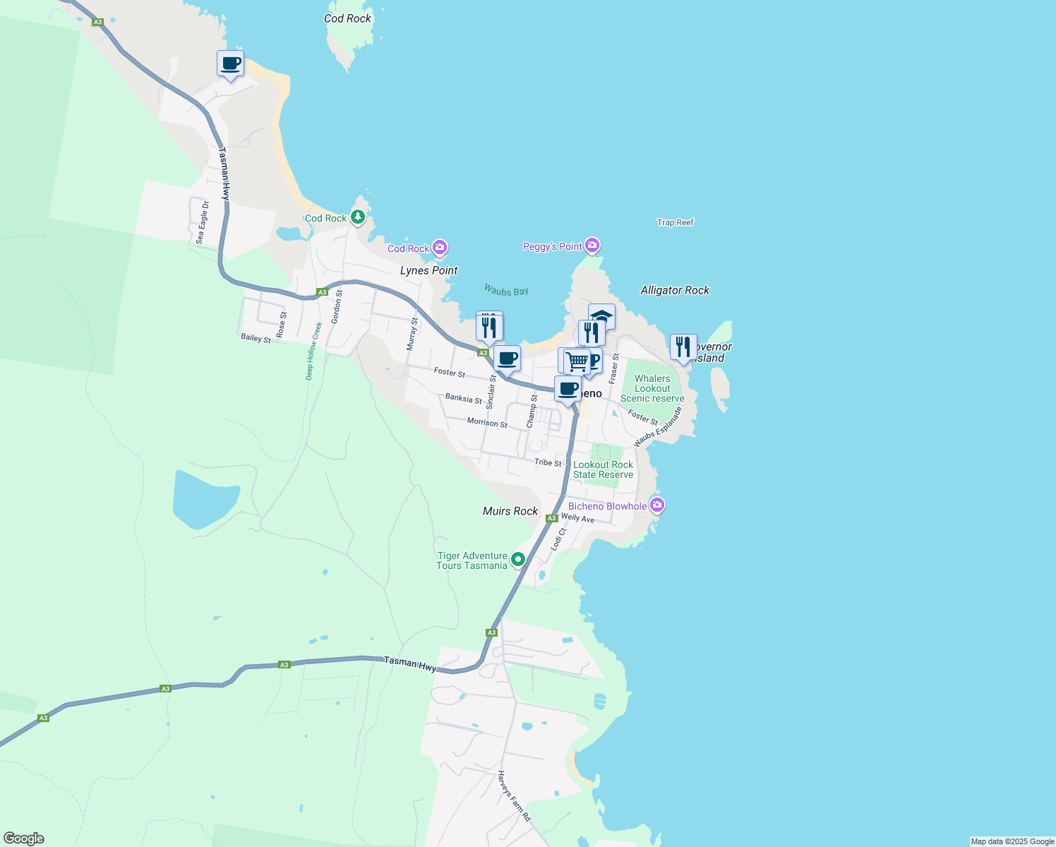 29 Morrison Street, Bicheno TAS - Walk Score