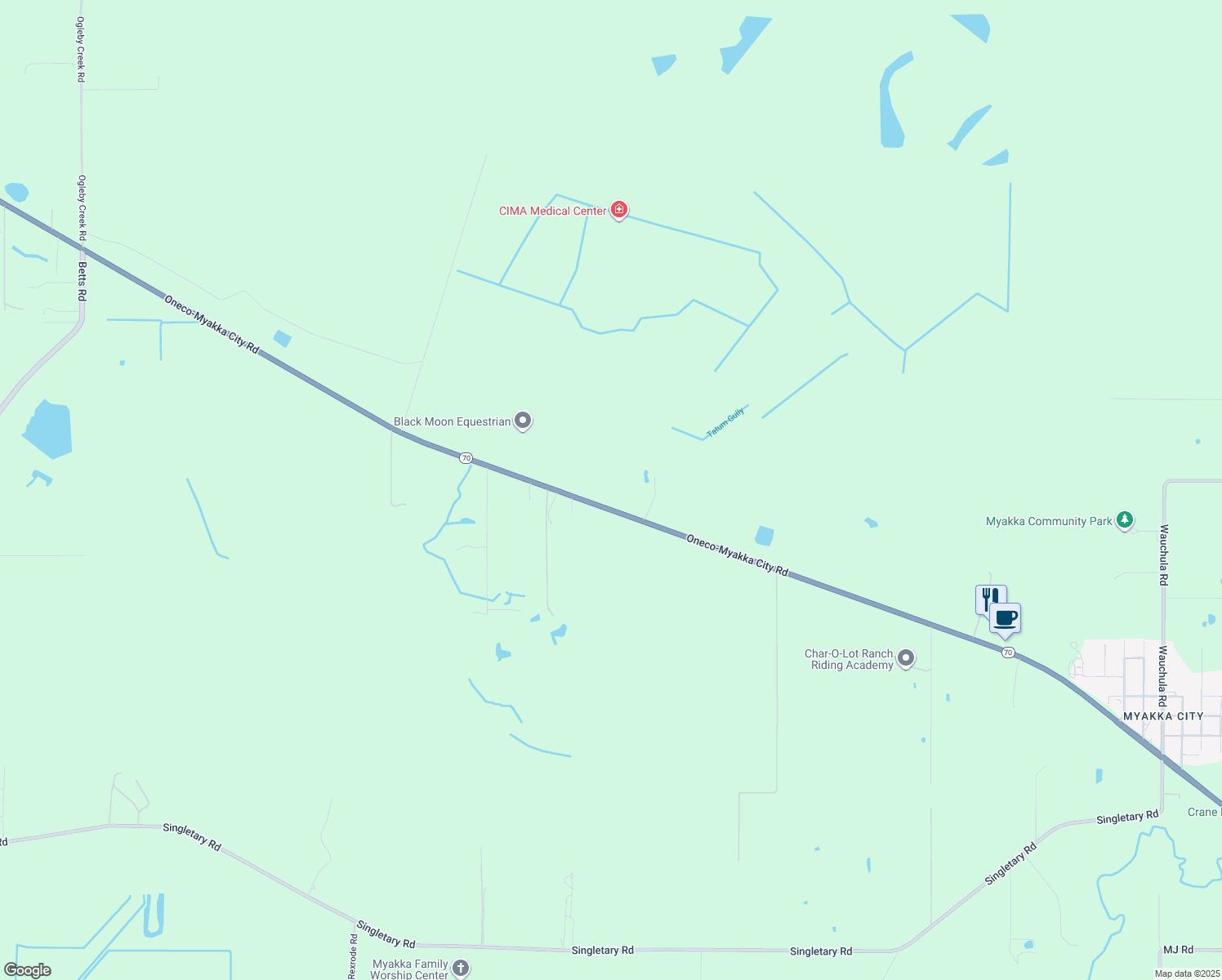 34251 Oneco-Myakka City Road, Myakka City FL - Walk Score