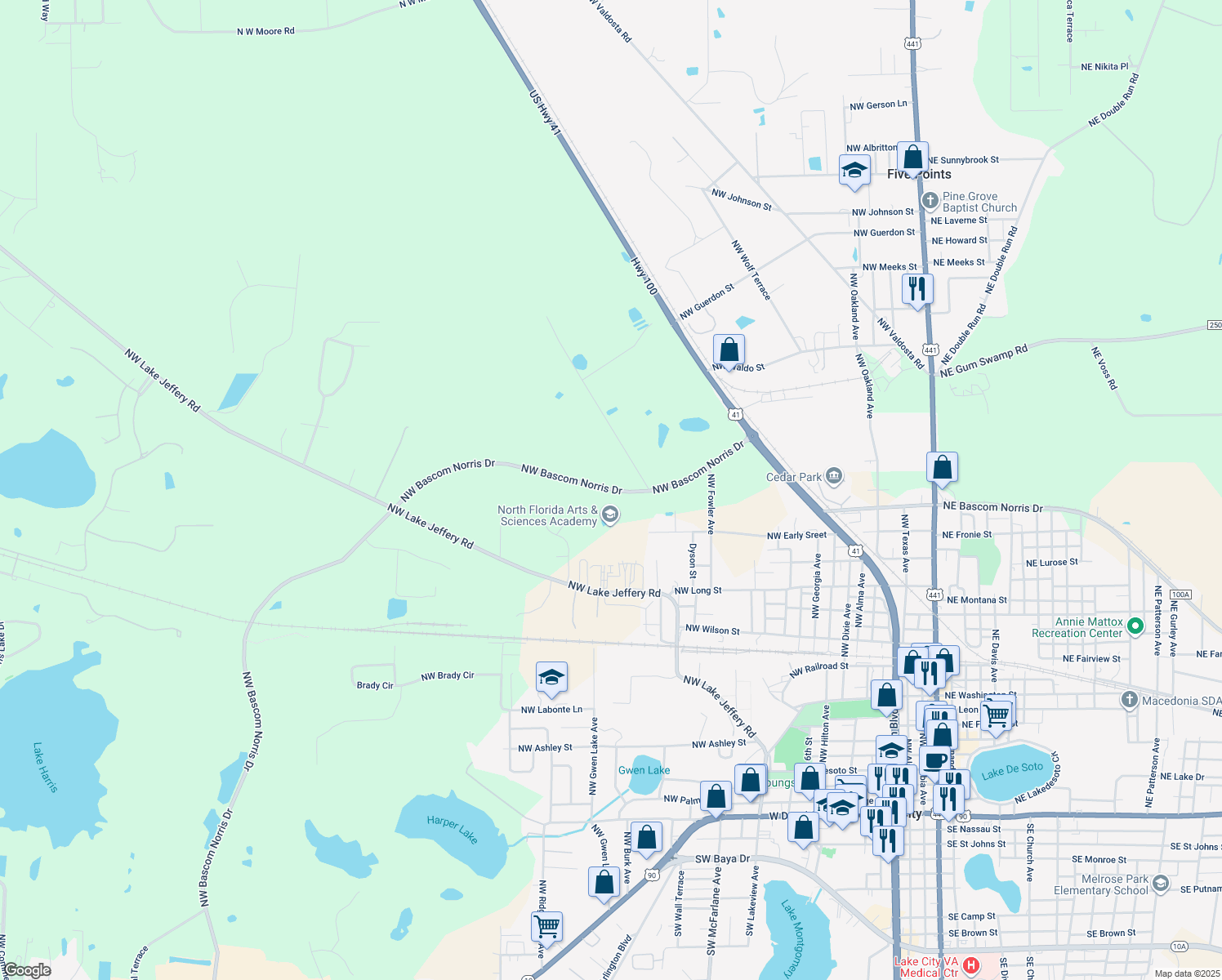 Northwest Bascom Norris Drive, Lake City FL - Walk Score