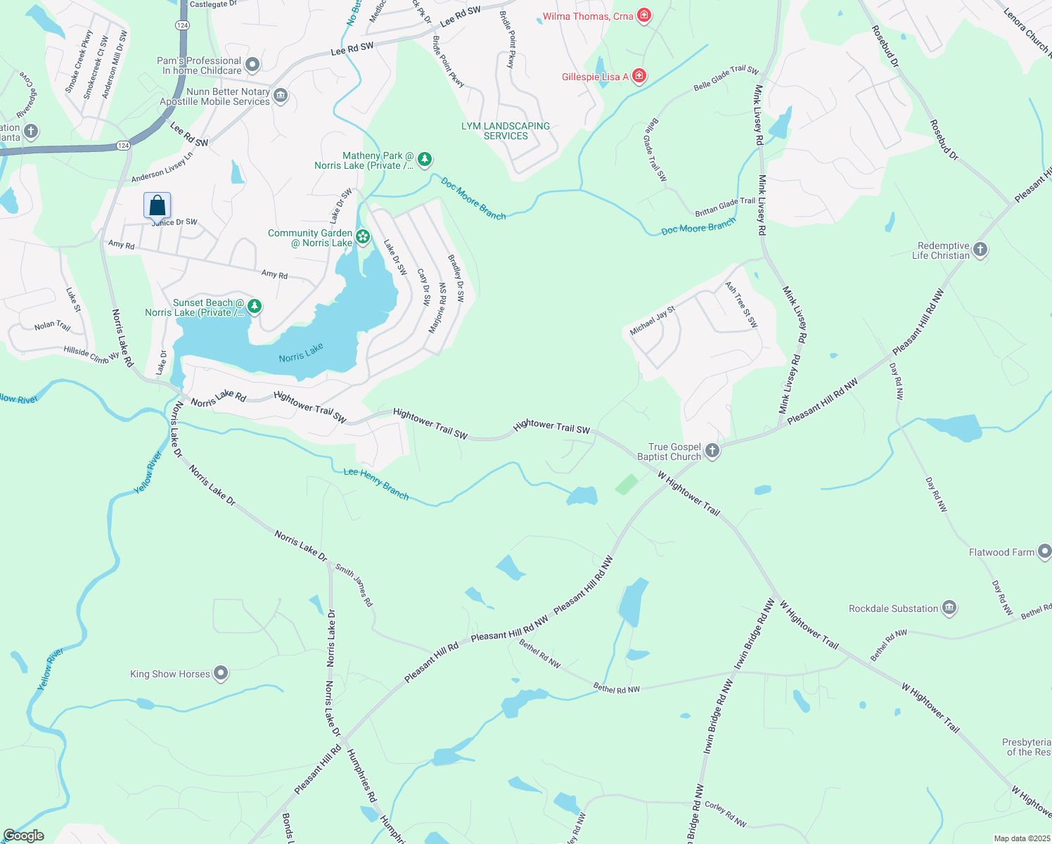 8900 Hightower Trail Southwest, Snellville GA - Walk Score