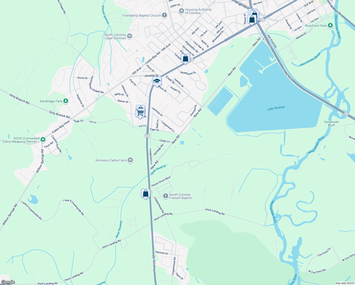 3253 New Road, Conway SC - Walk Score