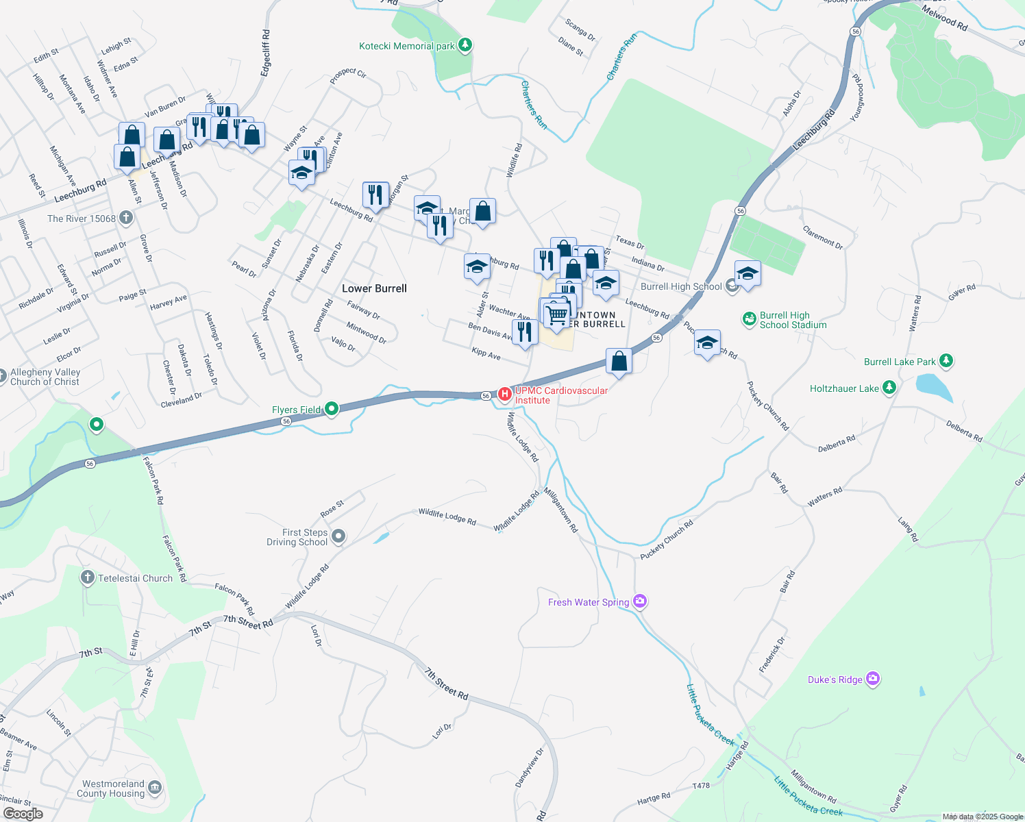 352 Wildlife Lodge Road, Lower Burrell PA - Walk Score