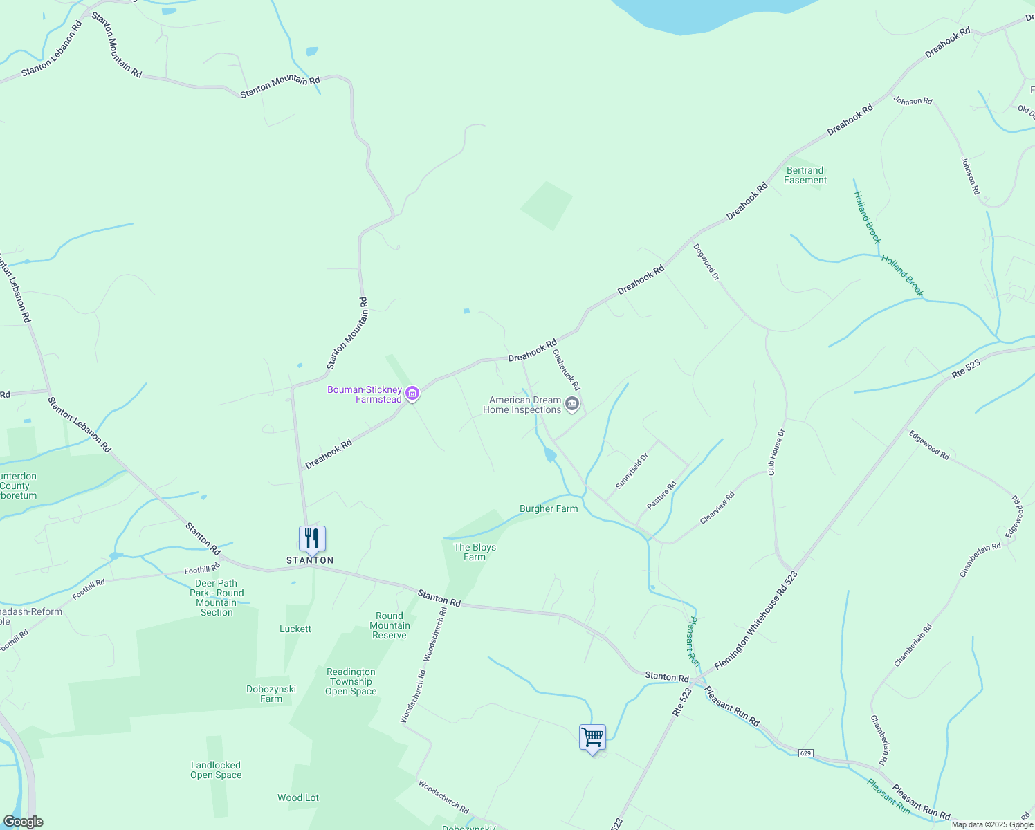 9 Springtown Road, Readington Township NJ - Walk Score