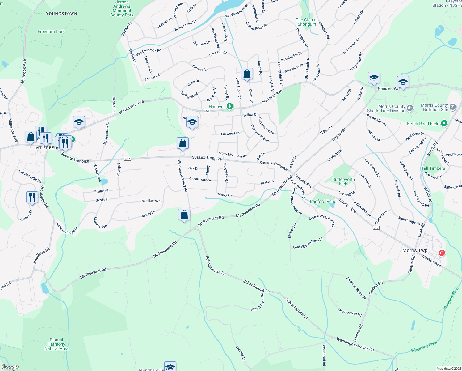 14 Country Lane, Randolph NJ - Walk Score