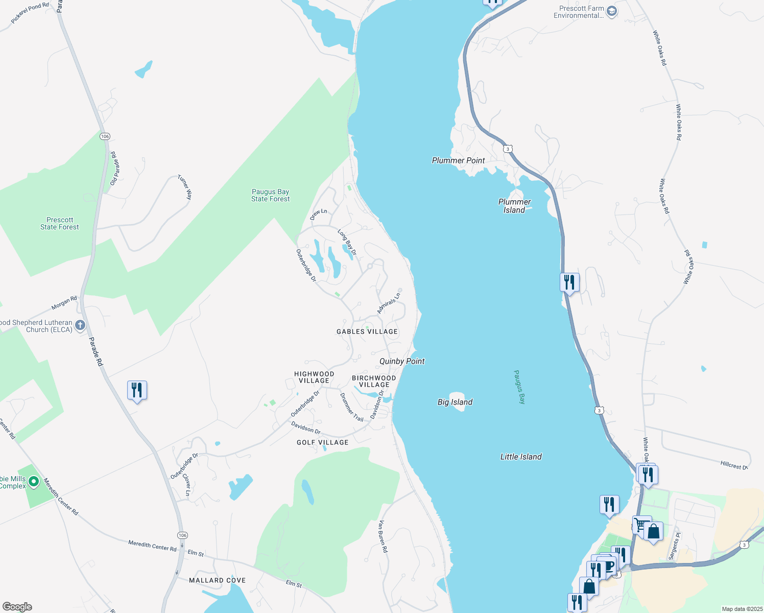 7 Race Point Road, Laconia NH - Walk Score