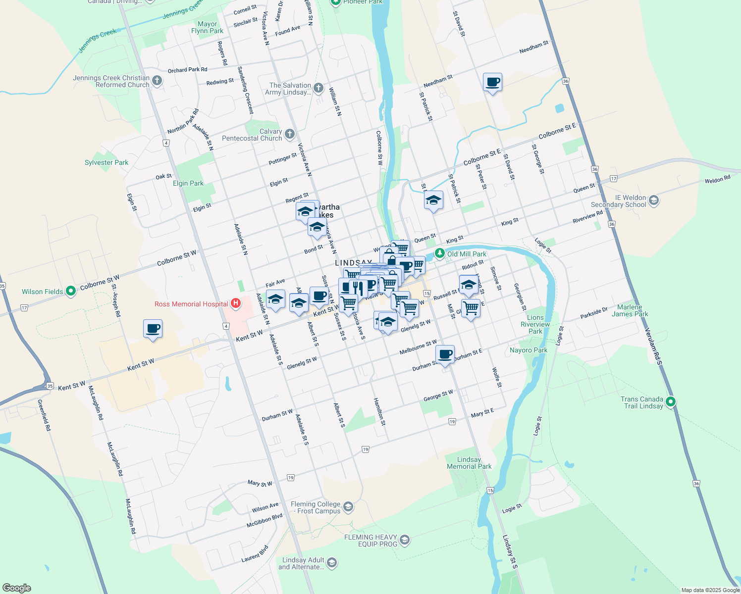 18 Cambridge Street South, Lindsay ON - Walk Score