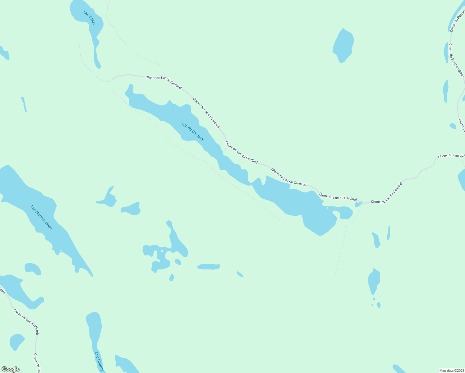 943 Chemin du Lac du Cardinal, Denholm QC - Walk Score