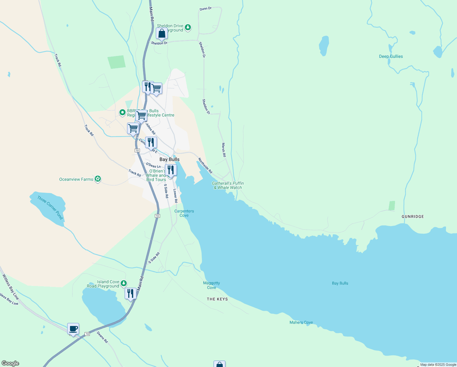 85 North Side Road, Bay Bulls NL - Walk Score