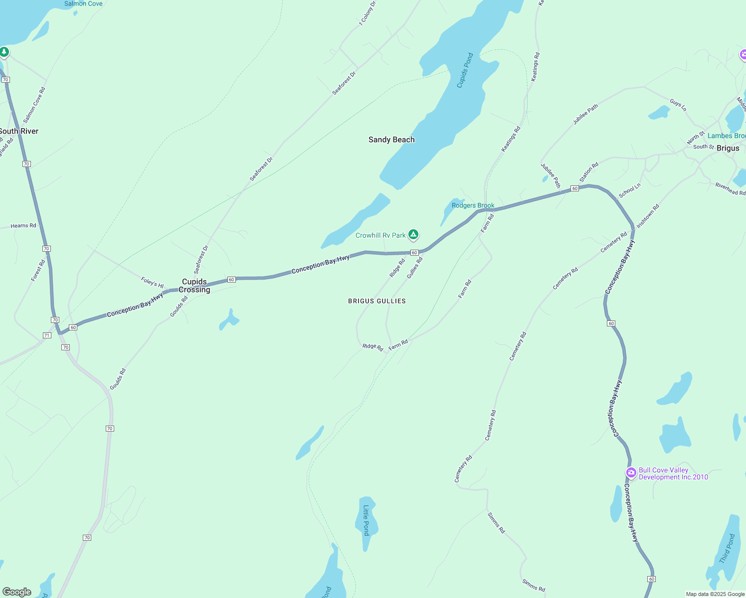 Ridge Road, Brigus NL - Walk Score