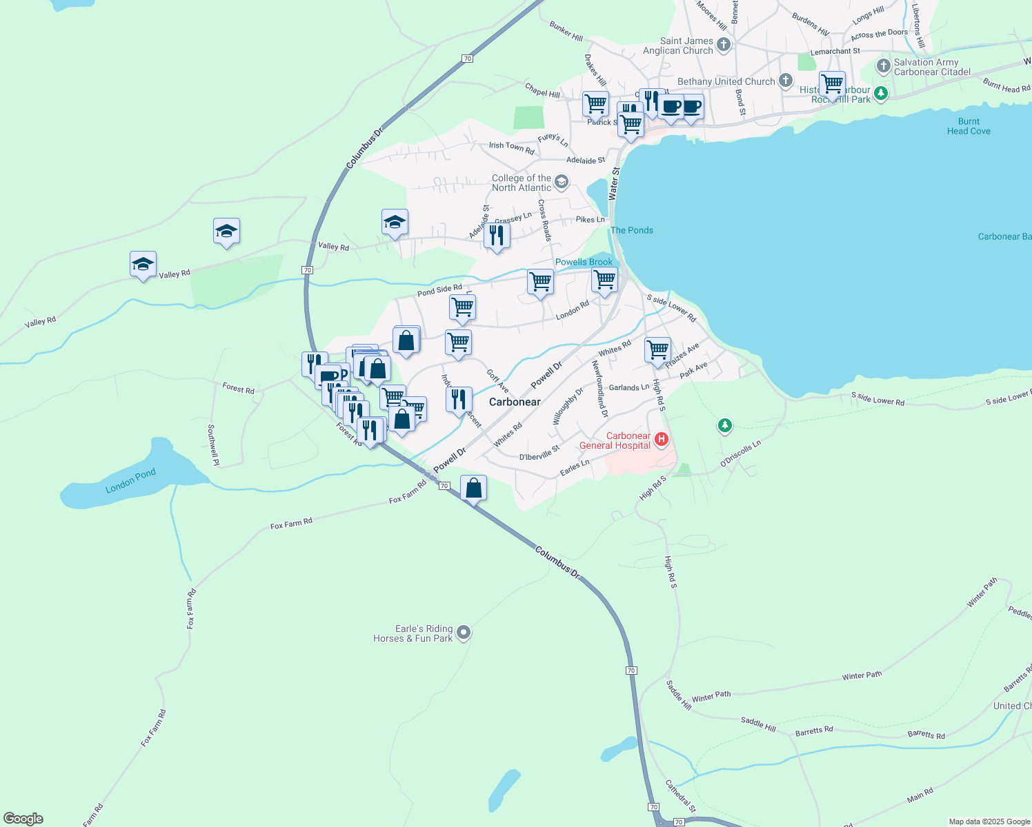 67 Powell Drive, Carbonear NL - Walk Score