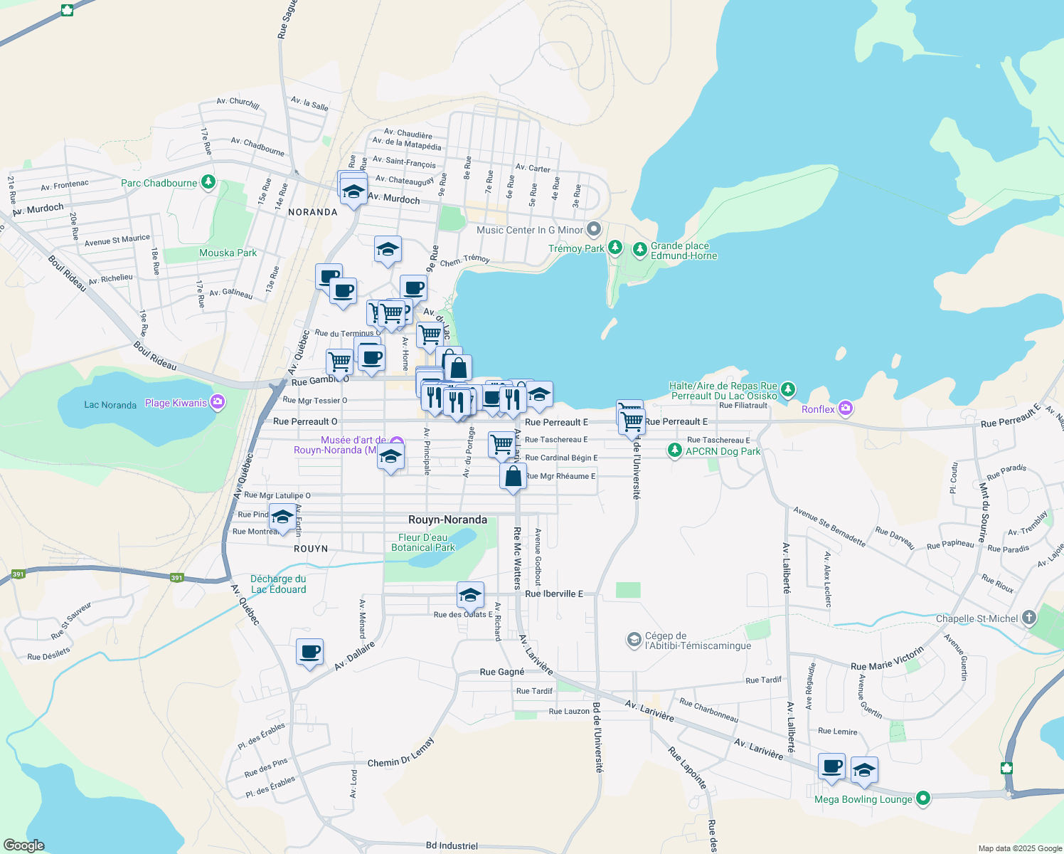 206 Rue Perreault Est, Rouyn-Noranda QC - Walk Score