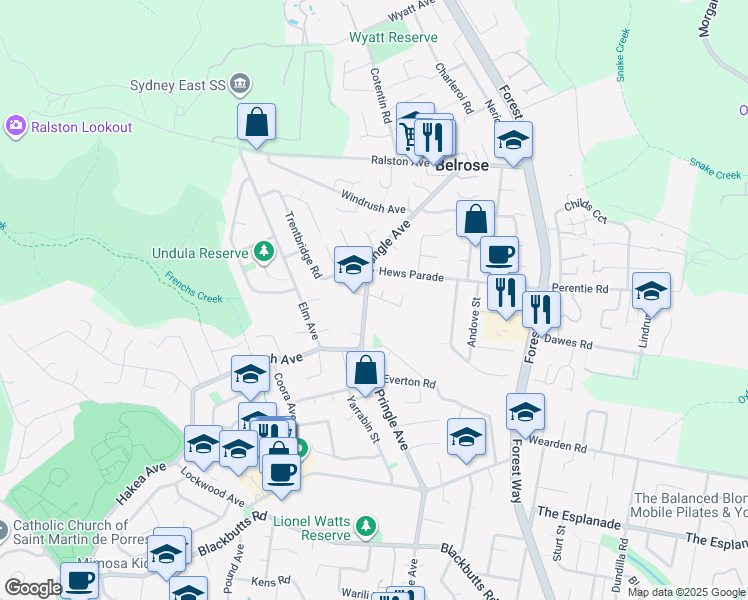 110 Pringle Avenue, Sydney NSW - Walk Score