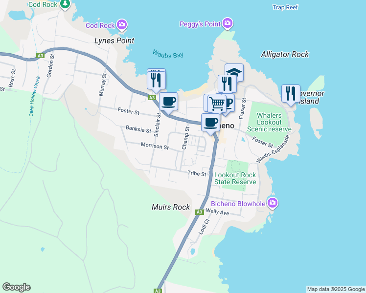 29 Morrison Street, Bicheno TAS - Walk Score