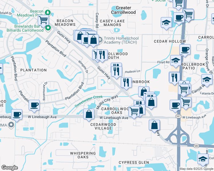 4302 Gunn Highway, Carrollwood FL - Walk Score