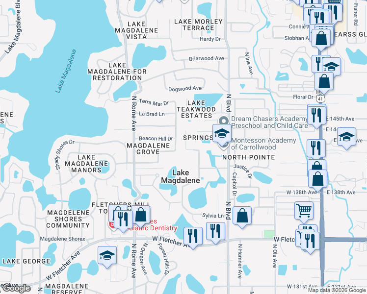 14204 Homosassa Street, Lake Magdalene FL - Walk Score