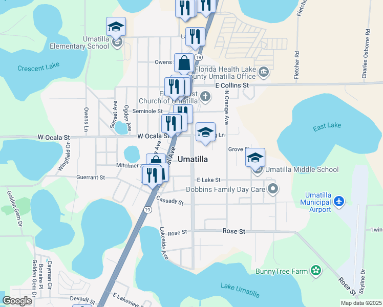 299 North Trowell Avenue, Umatilla FL - Walk Score
