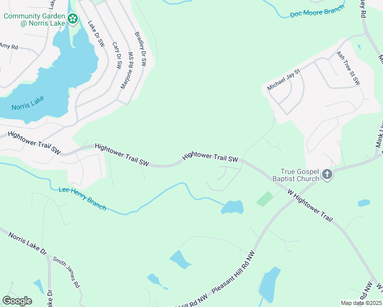 8900 Hightower Trail Southwest, Snellville GA - Walk Score