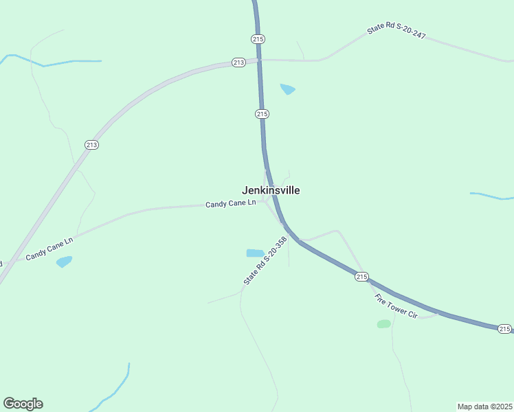 141 Jenkinsville Road, Jenkinsville SC - Walk Score