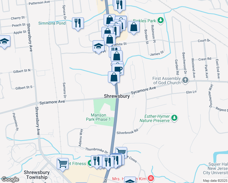 850 Broad Street, Shrewsbury NJ - Walk Score