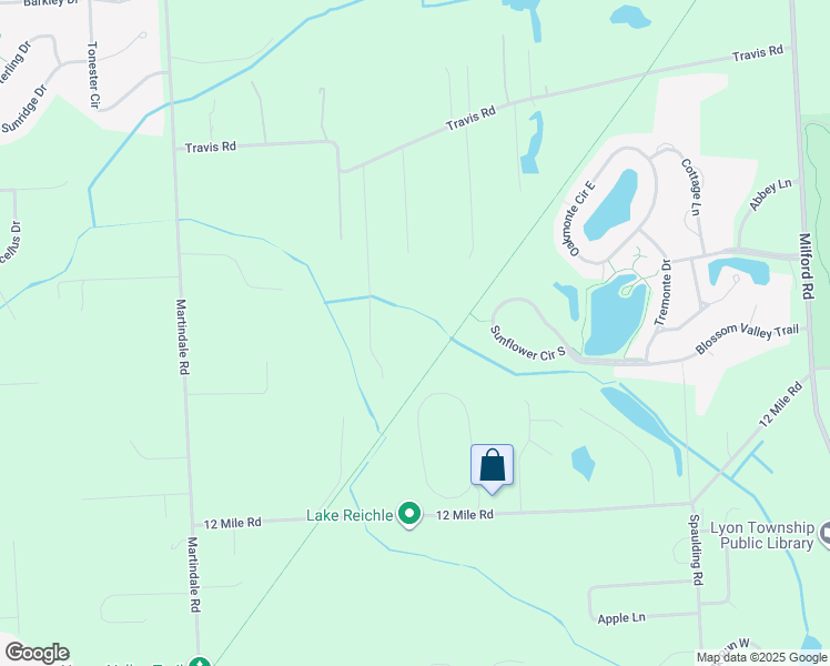 58515 Travis Road, Lyon Township MI - Walk Score