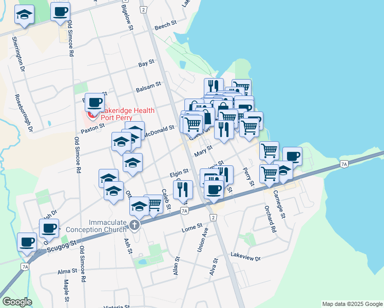 291 Mary Street, Port Perry ON - Walk Score