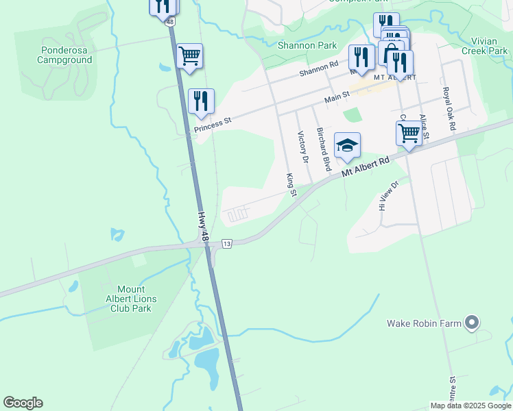 25 Albert Street, Mount Albert ON - Walk Score