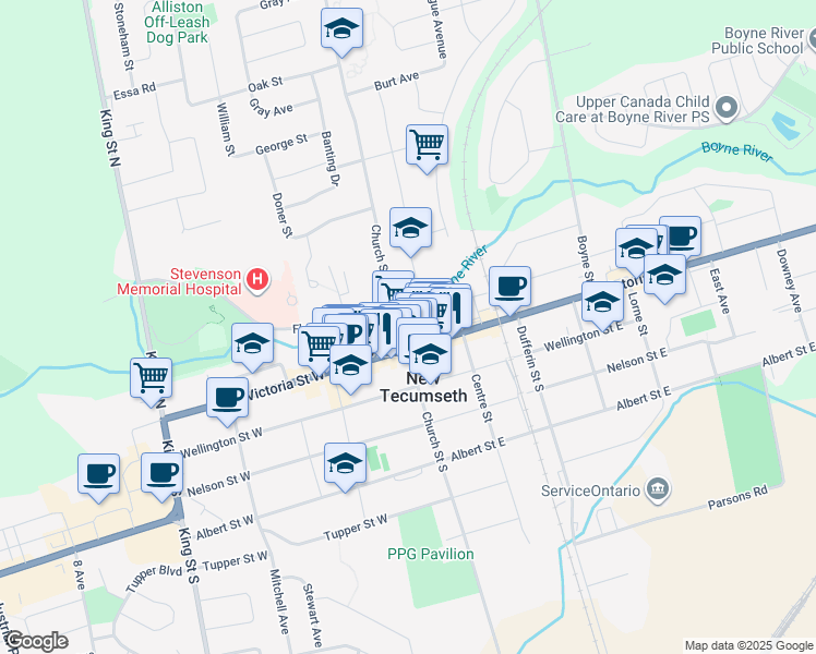 19 Church Street North, New Tecumseth ON - Walk Score