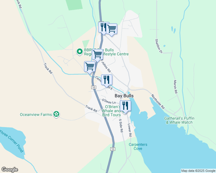 Cemetery Lane East, Bay Bulls NL - Walk Score