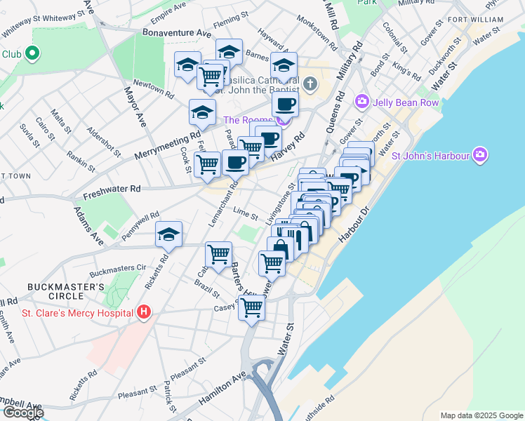 21 Goodview Street, St. John's NL - Walk Score