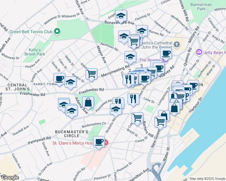 73 Freshwater Road, St. John's NL - Walk Score