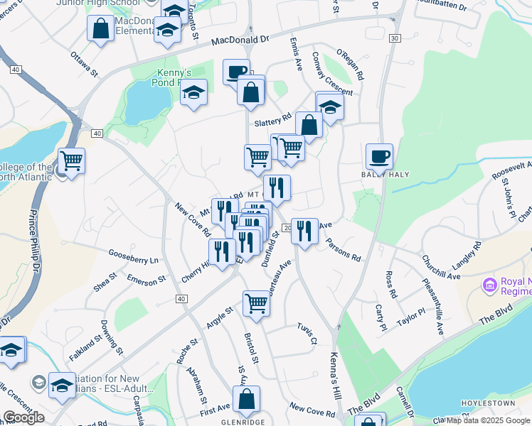 61 Torbay Road, St. John's NL - Walk Score