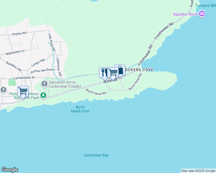 Burnt Head Road, Carbonear NL - Walk Score