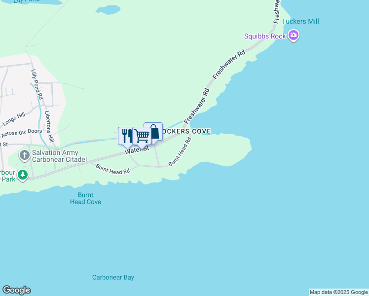 Burnt Head Road, Carbonear NL - Walk Score