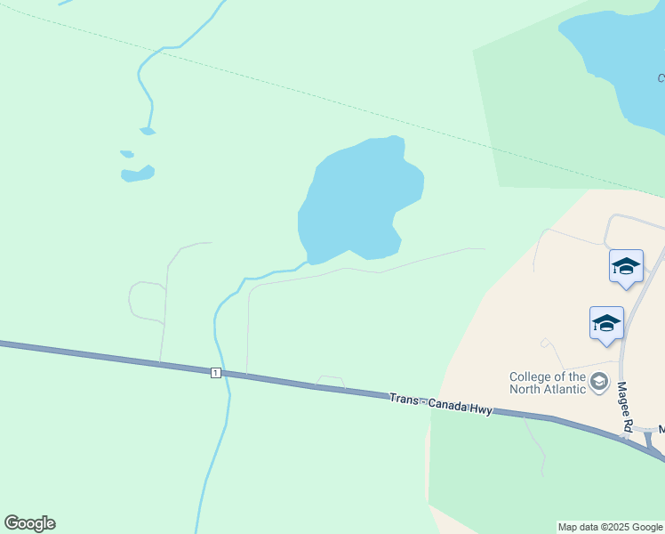 109 Ogilvie Street, Gander NL - Walk Score