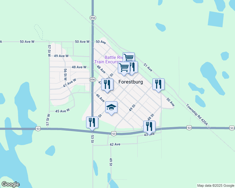 4702 50 Street, Forestburg AB - Walk Score